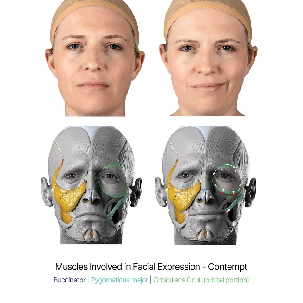 Contempt Facial Expression