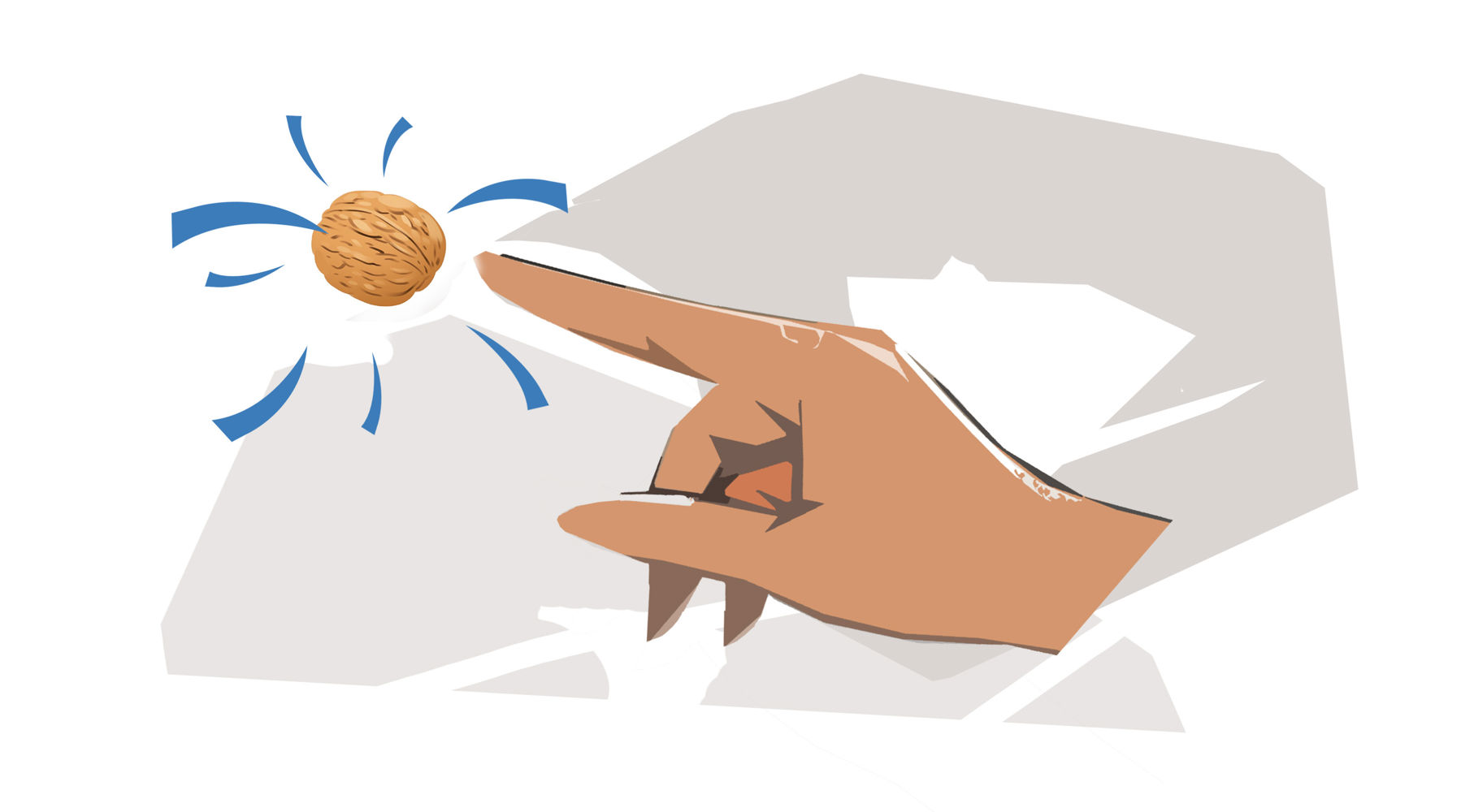 The Male G-spot (P-spot) | Blog | Anatomy.app | Learn anatomy | 3D ...